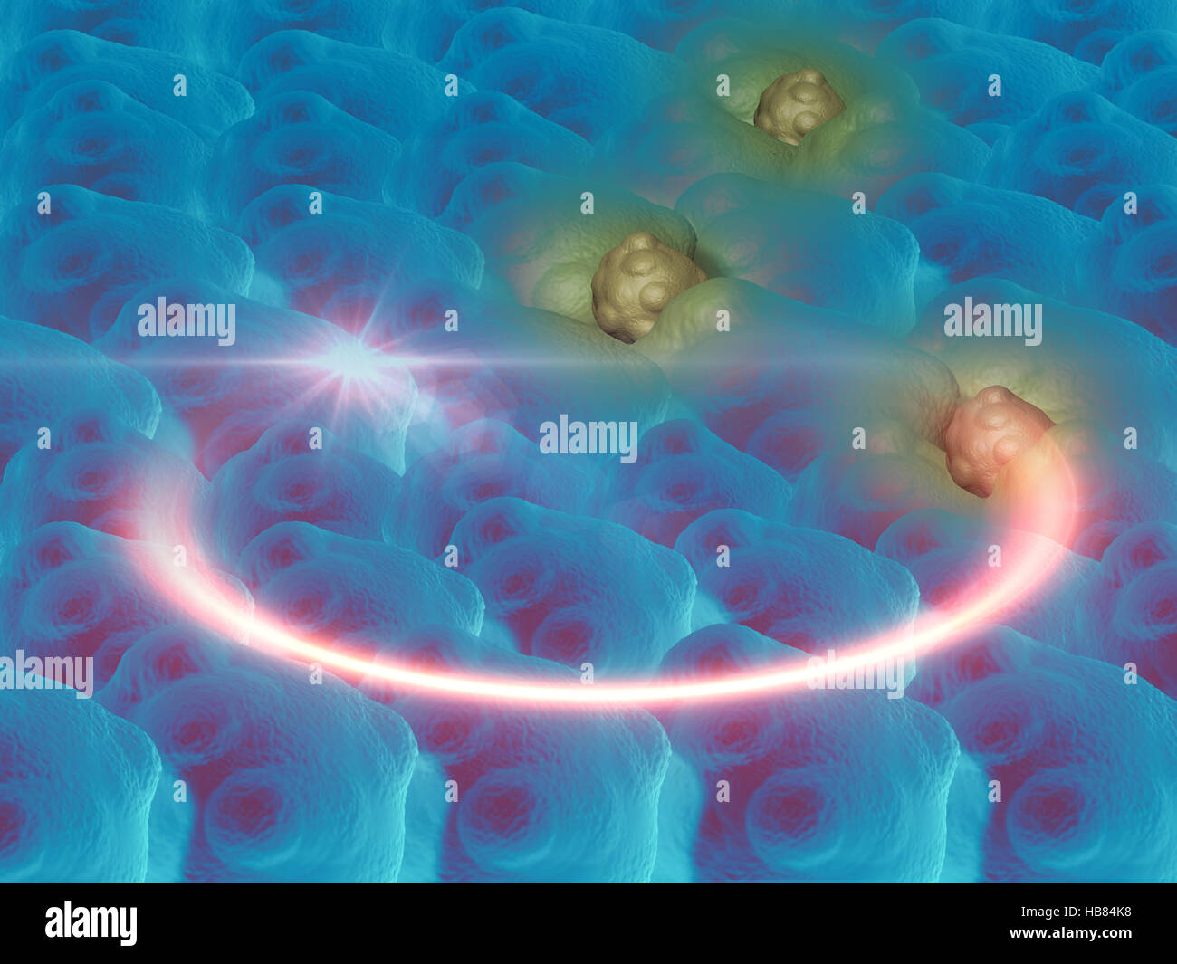 Virus and bacterium Stock Photo - Alamy