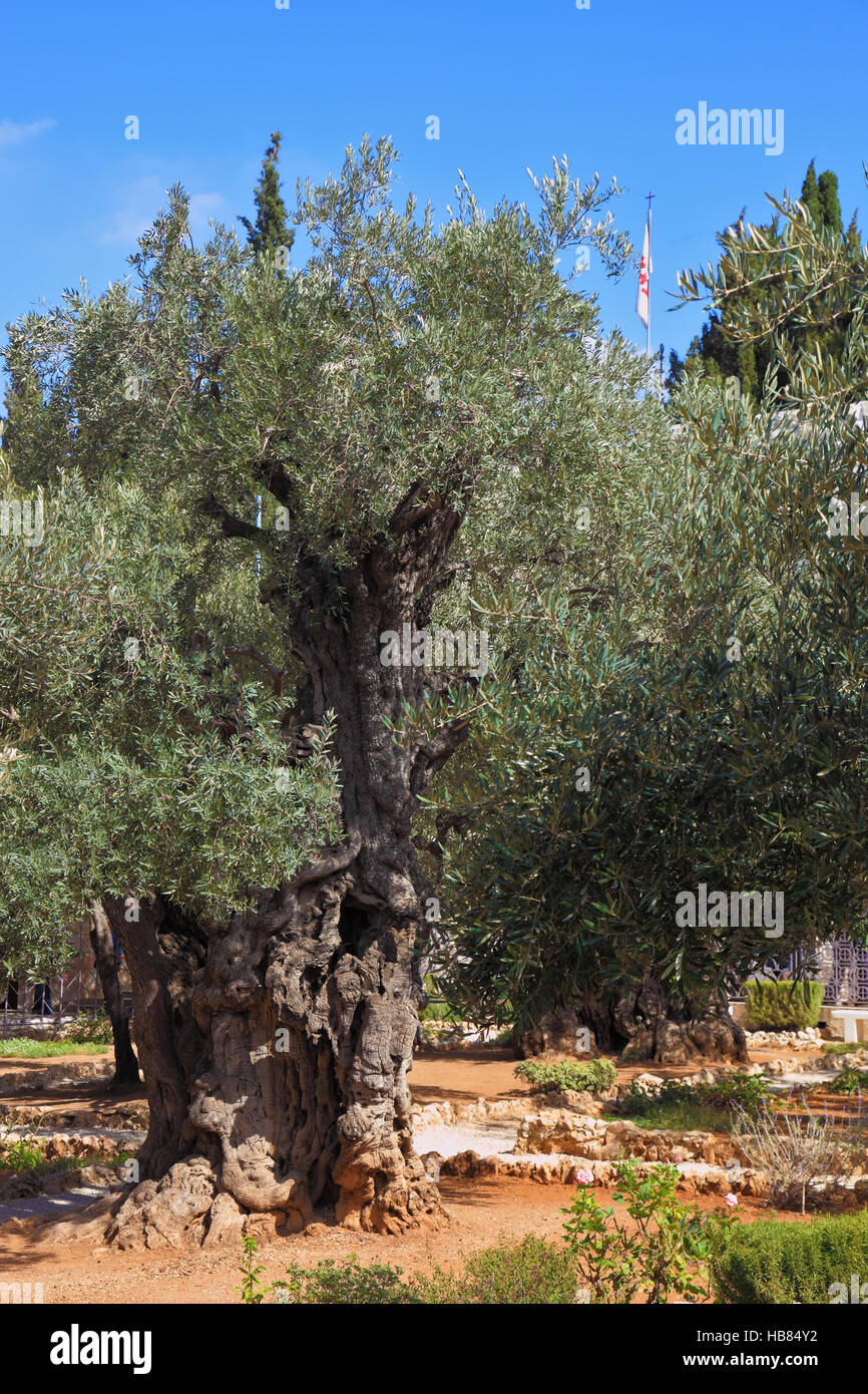 Prayer jesus in garden hi-res stock photography and images - Alamy