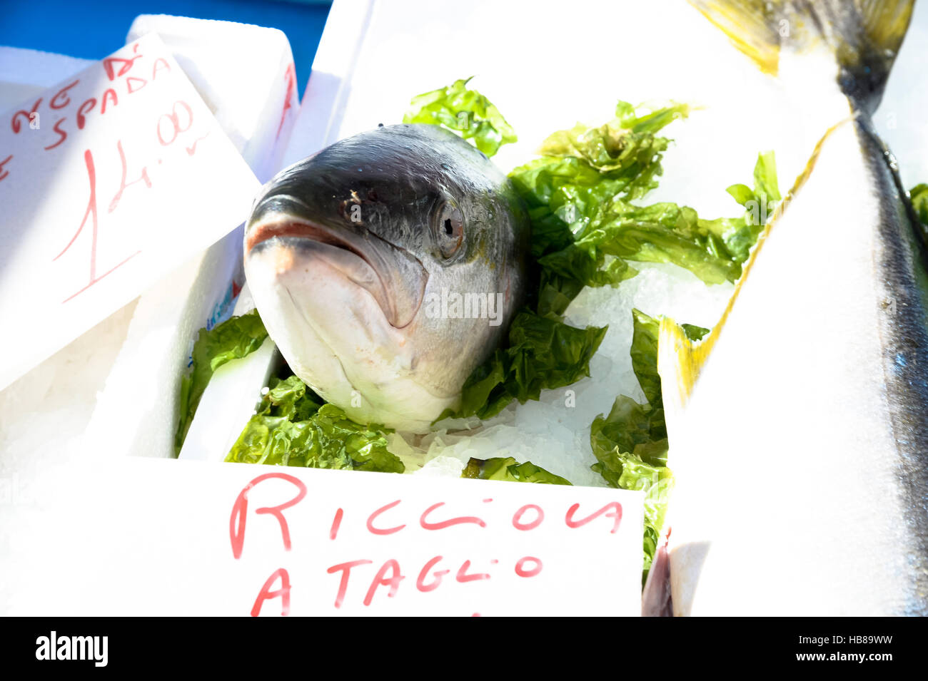 Ricciola in market Stock Photo - Alamy