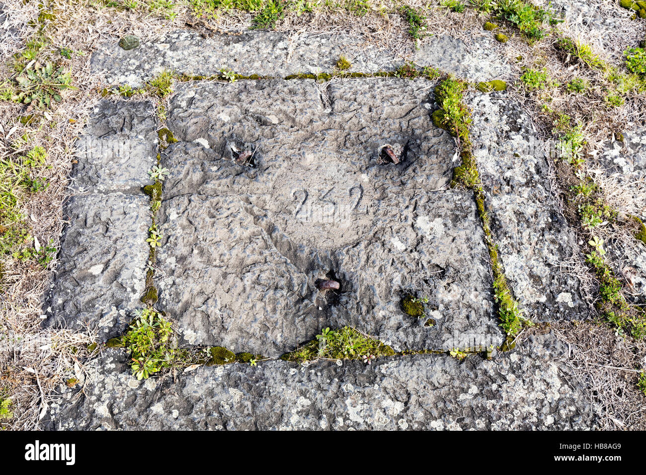 Burial pits hi-res stock photography and images - Alamy