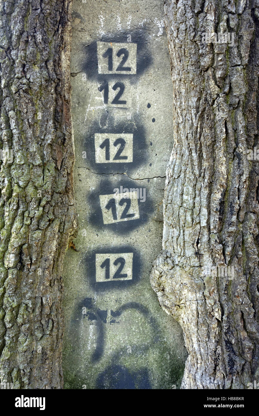 Closed tree injury hi-res stock photography and images - Alamy