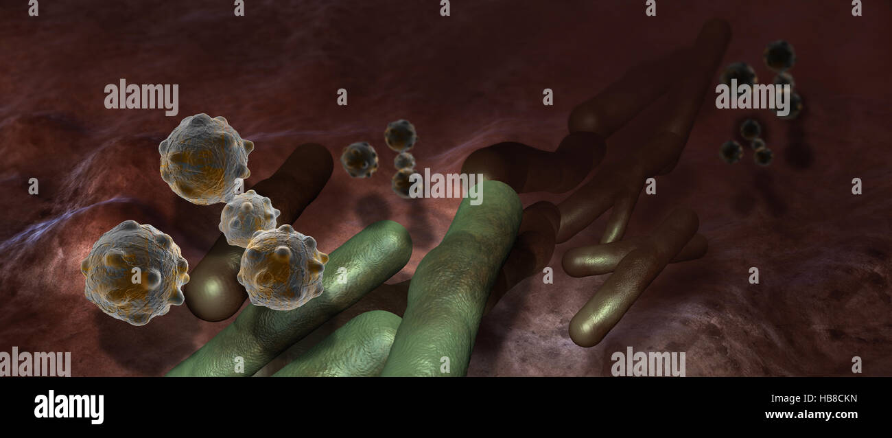 Virus and bacterium Stock Photo - Alamy