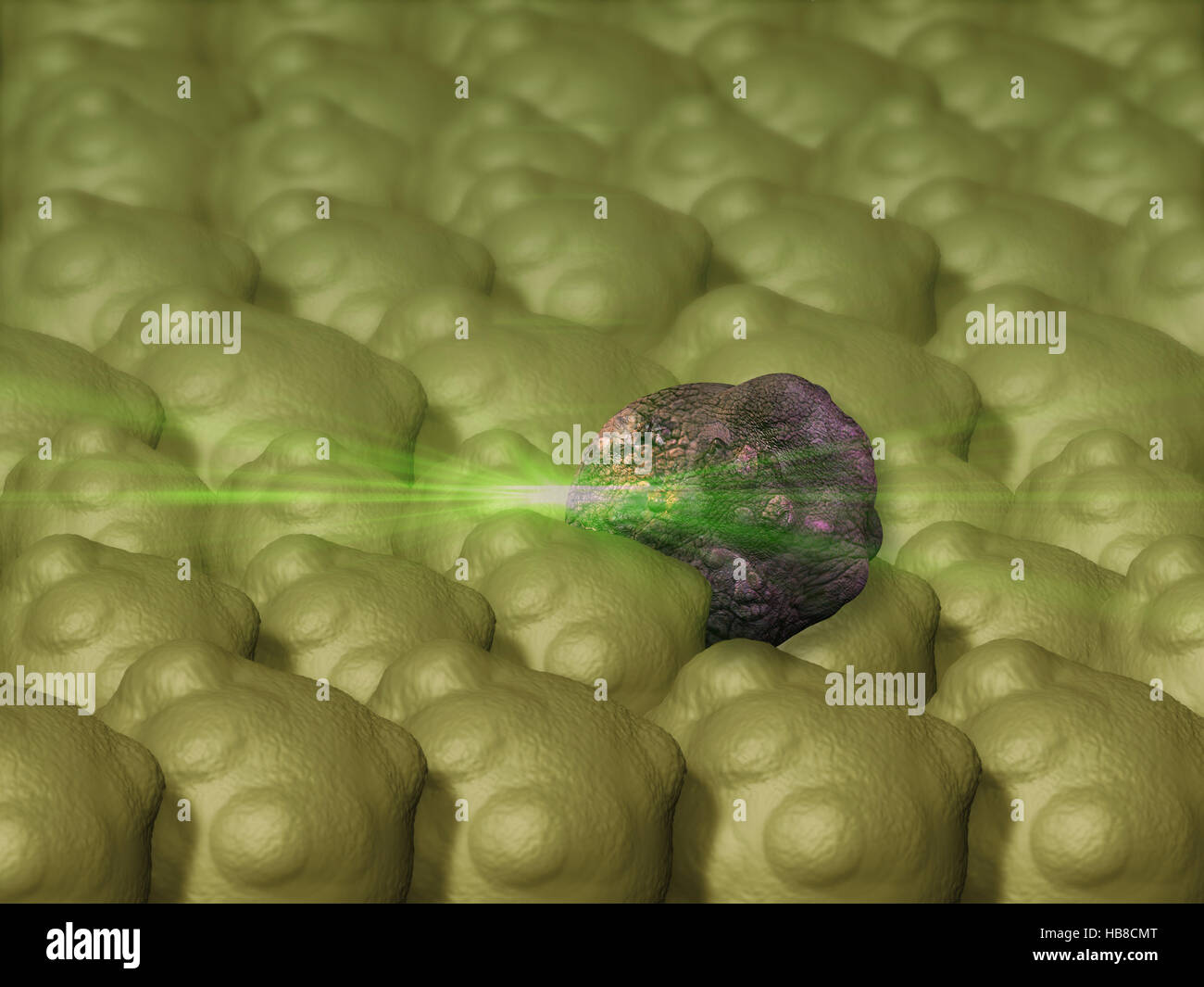 Virus and bacterium Stock Photo - Alamy