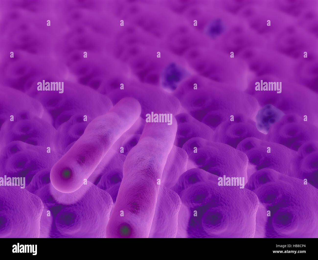Virus and bacterium Stock Photo - Alamy