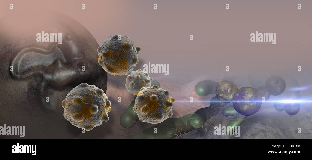 Virus and bacterium Stock Photo - Alamy