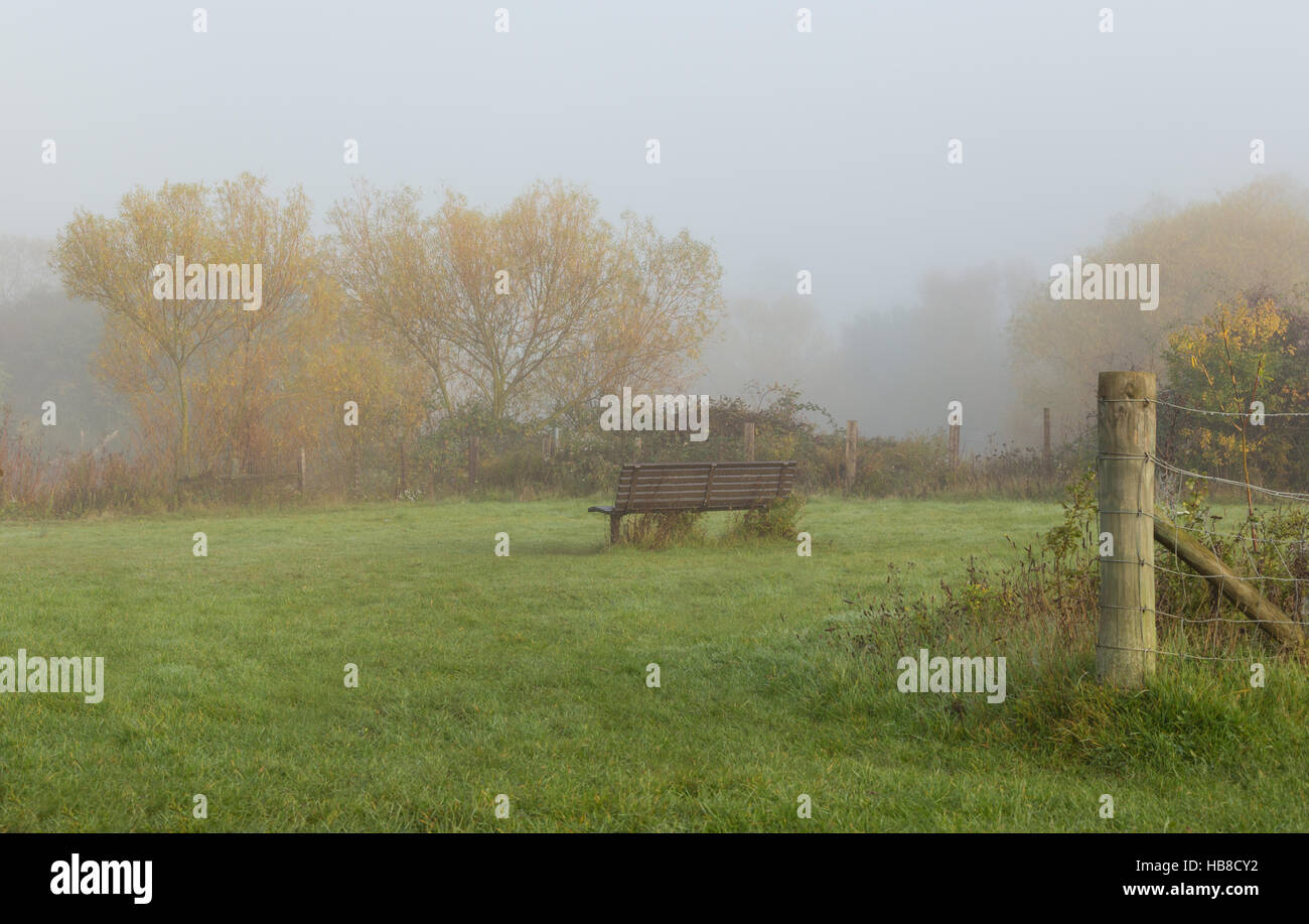 Single bench in the mist in a field in a park Stock Photo - Alamy