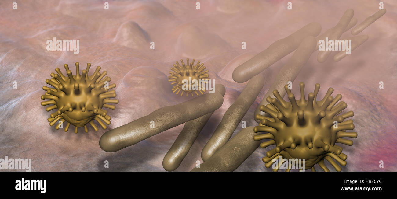Virus and bacterium Stock Photo - Alamy