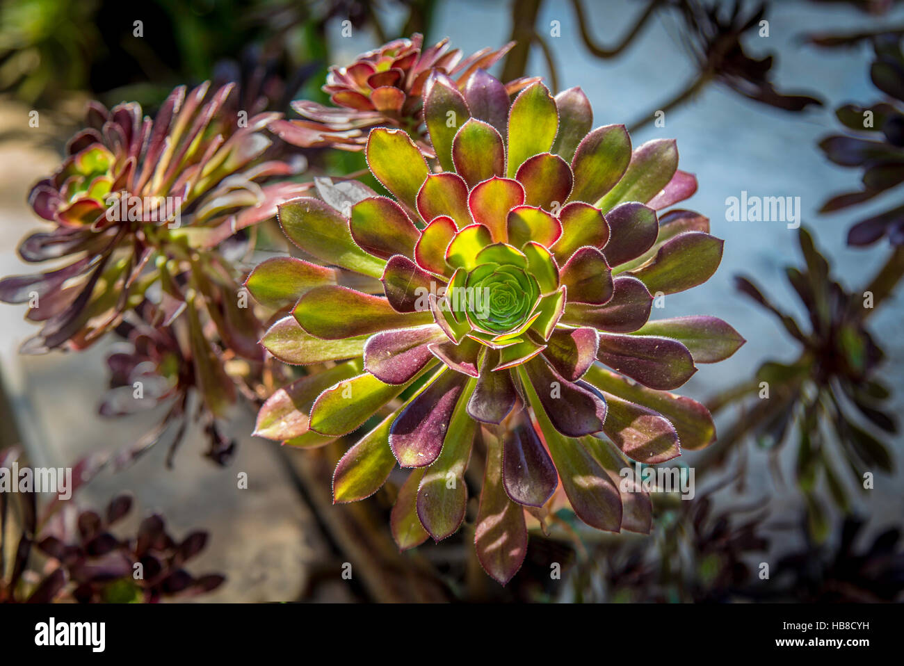 Good lighting hi-res stock photography and images - Alamy