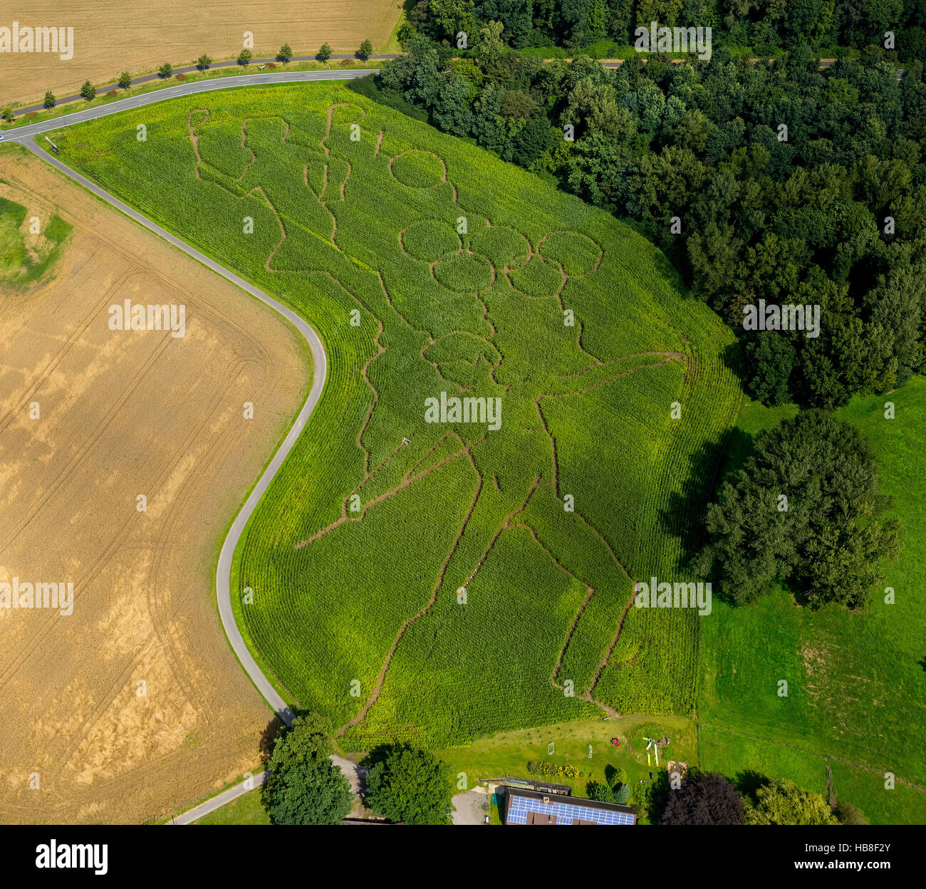 Corn maze aerial hi-res stock photography and images - Alamy