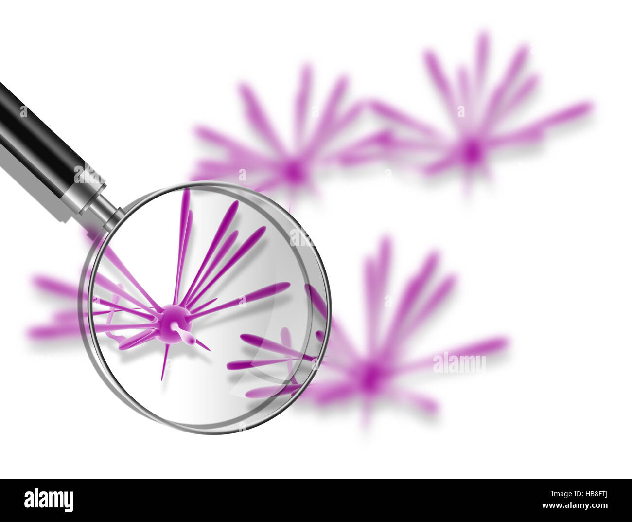 west nile virus Stock Photo - Alamy