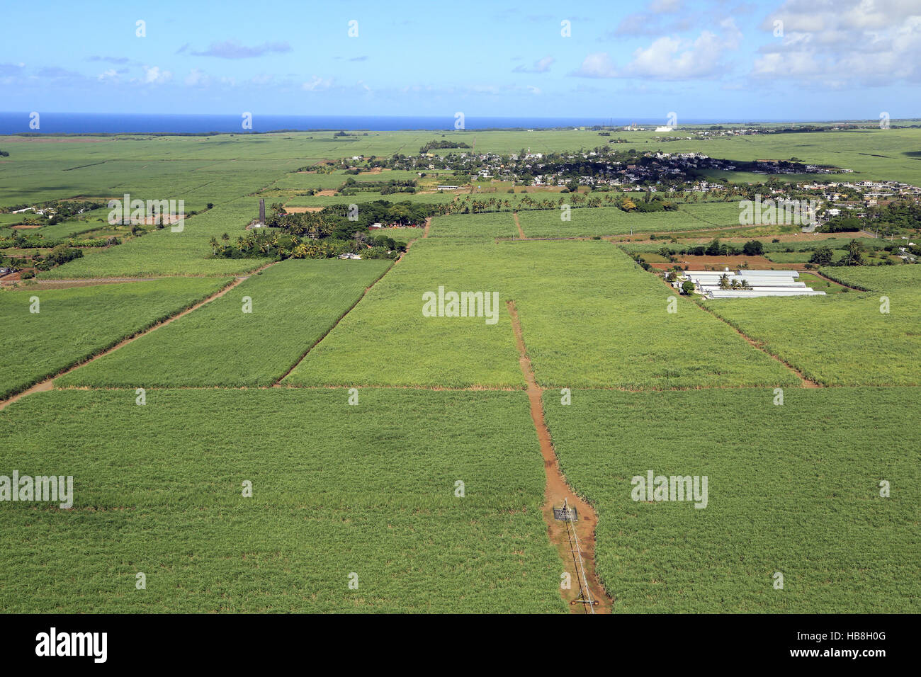Mauritius, Union Vale, sugarcane fields Stock Photo - Alamy
