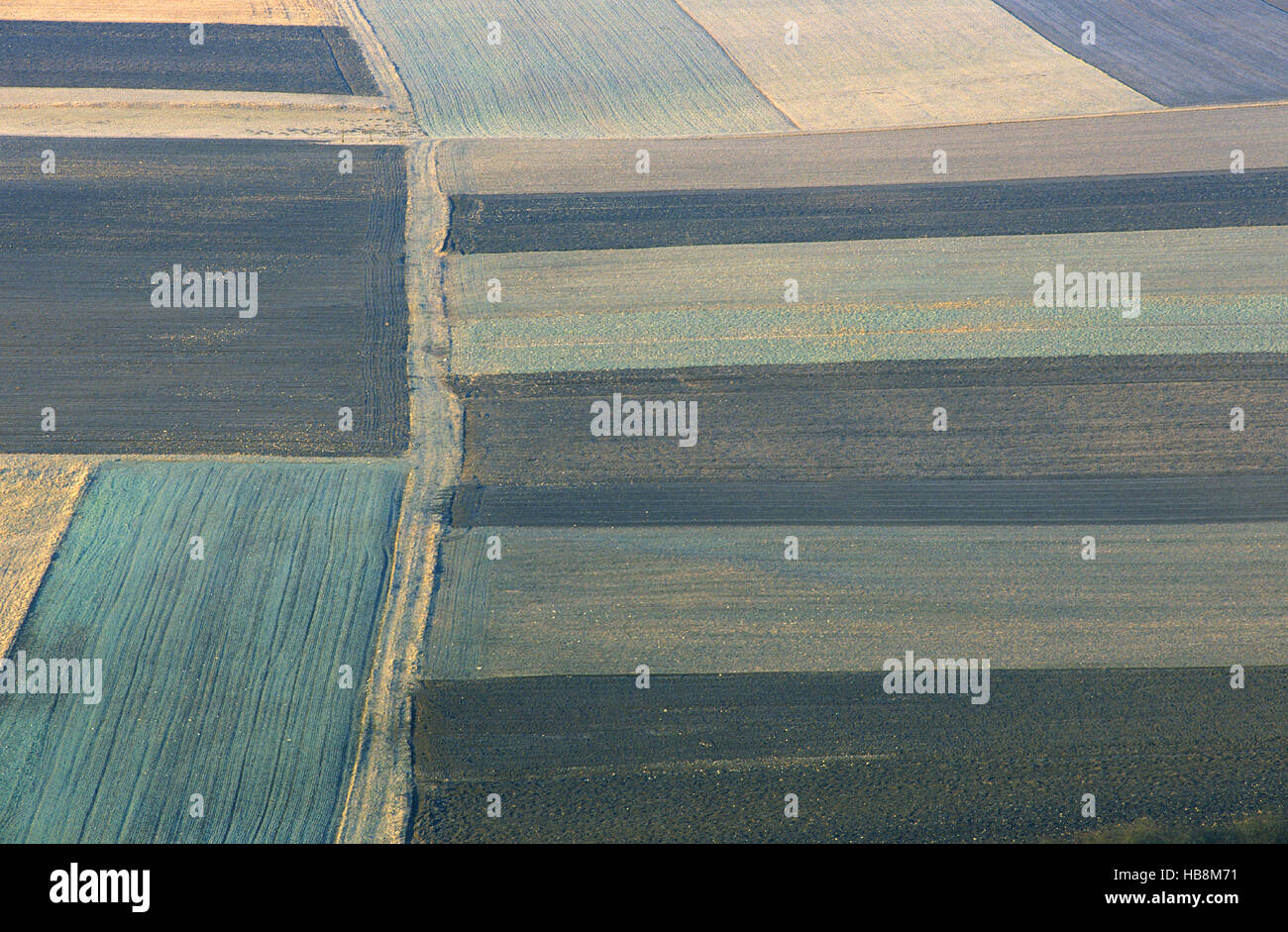 Monoculture hi-res stock photography and images - Alamy