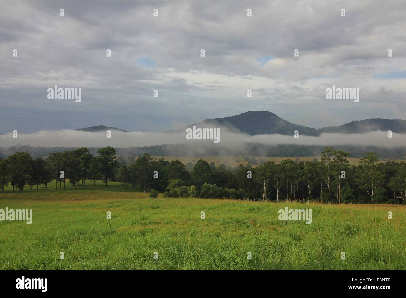 Fog belt hi-res stock photography and images - Alamy