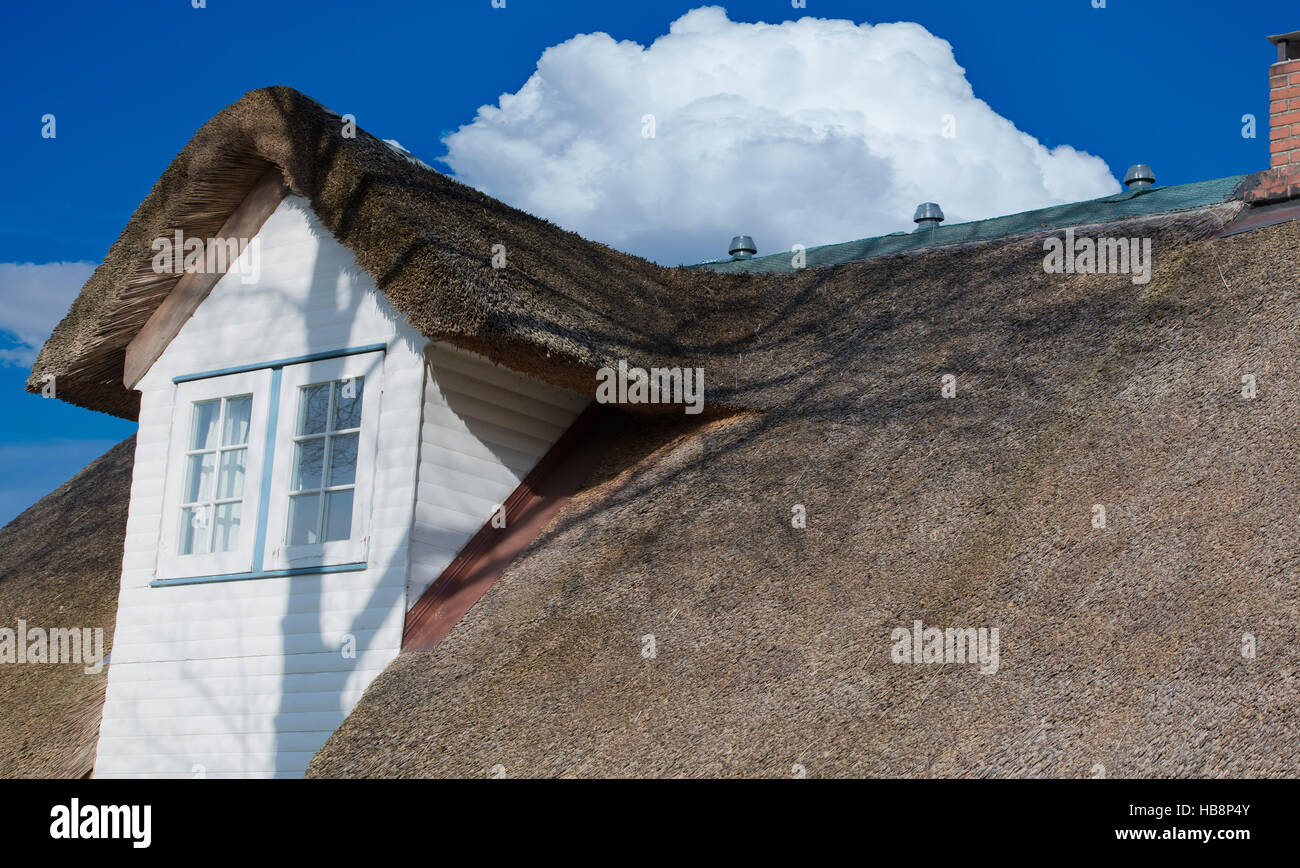 Cane roof hi-res stock photography and images - Alamy