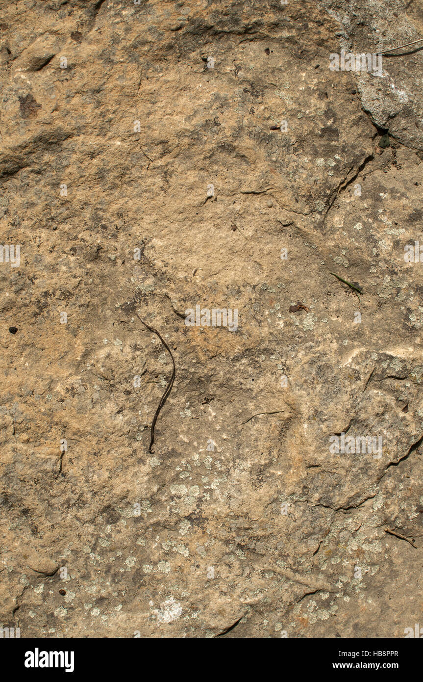 Sandstone slab hi-res stock photography and images - Alamy