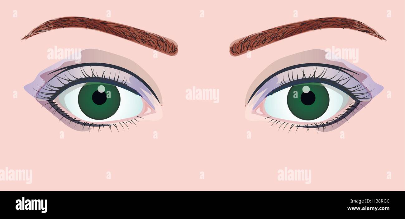 Optica vector vectors hi-res stock photography and images - Alamy