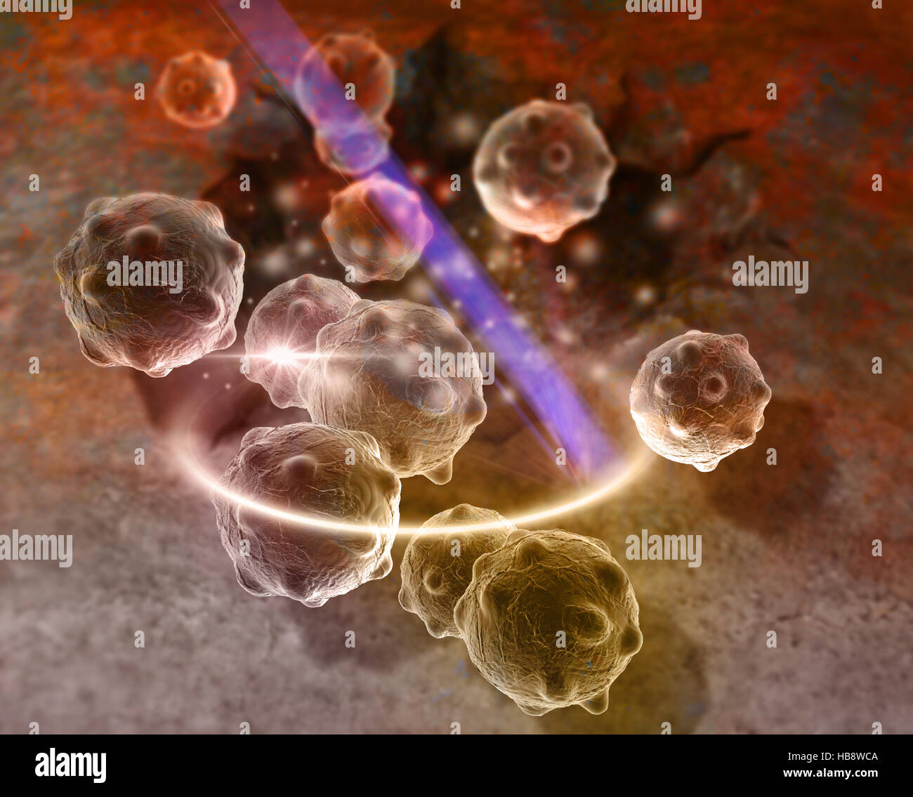 Cancer cell line hi-res stock photography and images - Alamy