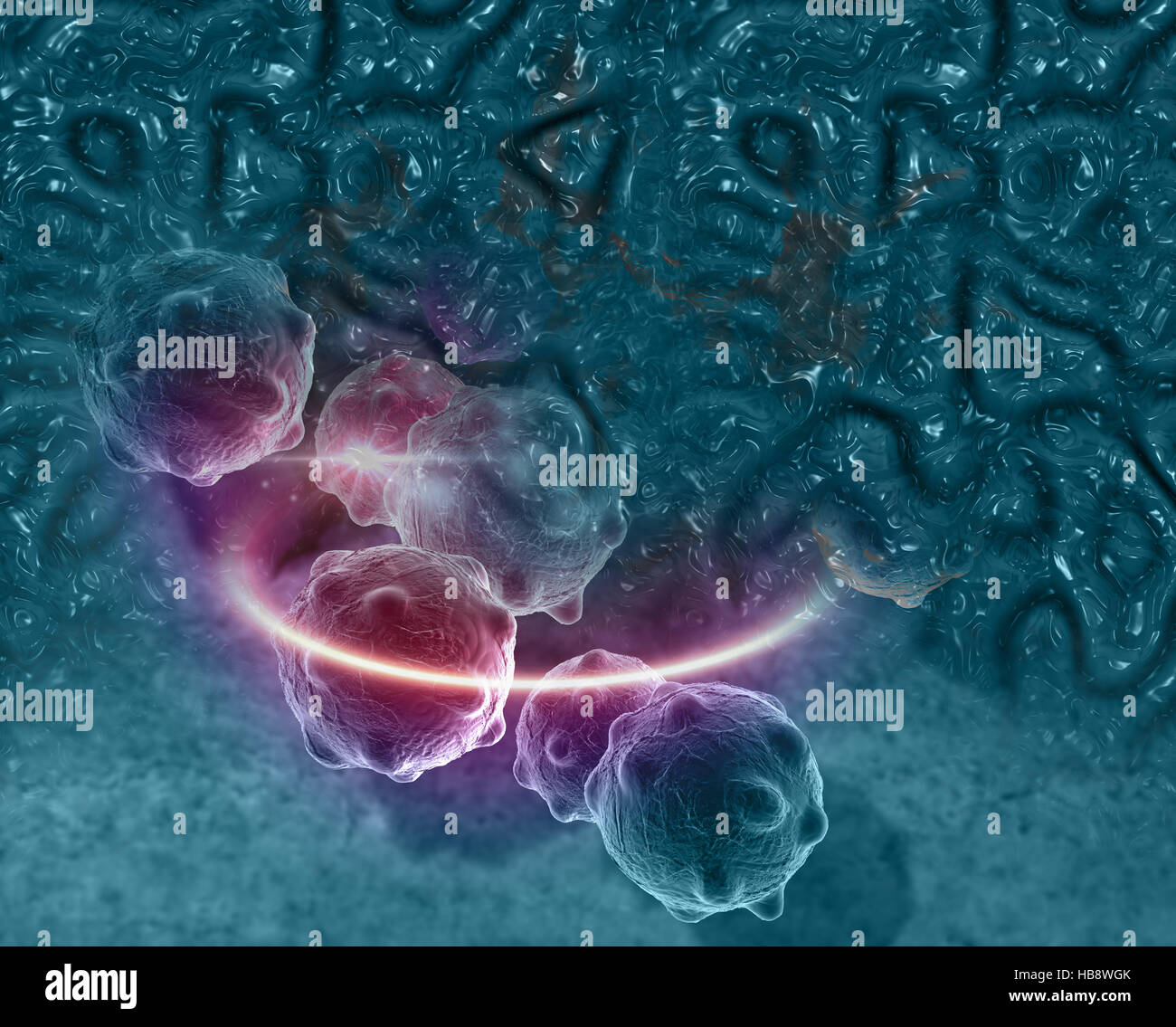 Cancer cell line hi-res stock photography and images - Alamy