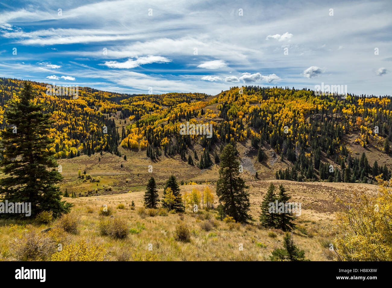 Mountain scenery with streams, valleys, and colorful trees along a ...