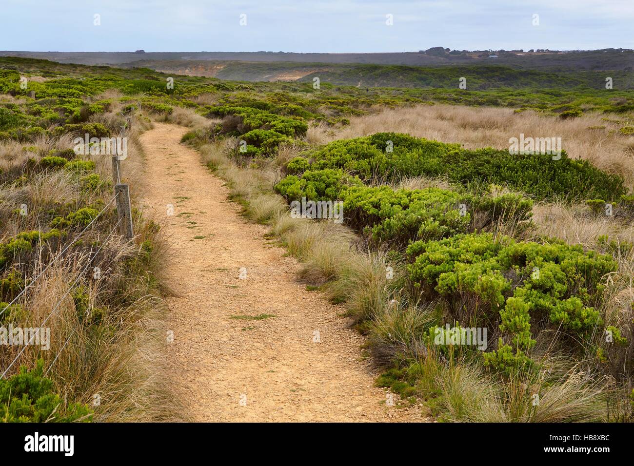 Fields of Australian wild landscape Stock Photo - Alamy