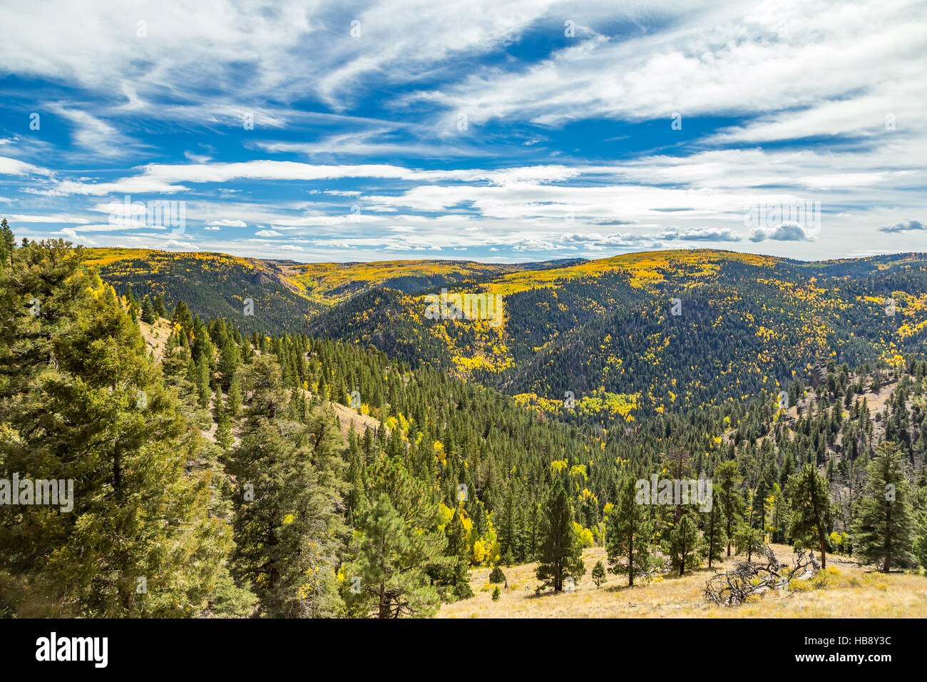 Mountain scenery with streams, valleys, and colorful trees along a ...