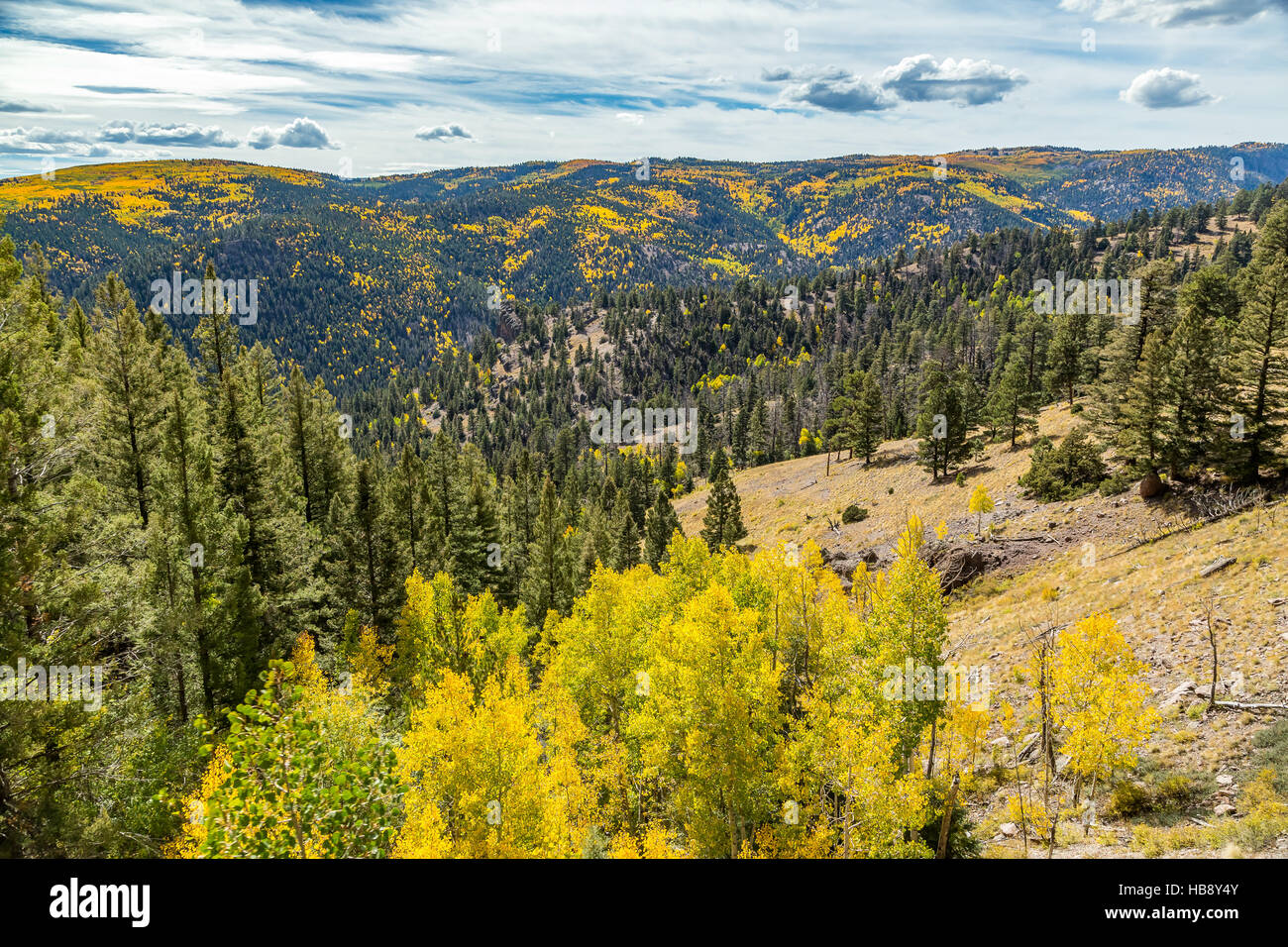 Mountain scenery with streams, valleys, and colorful trees along a ...