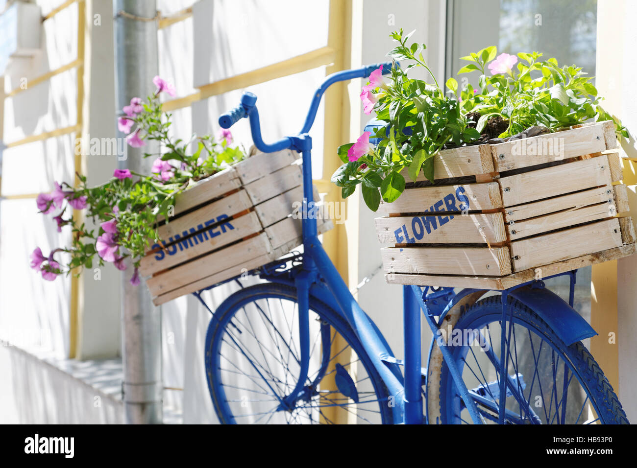 old bicycle with flowers box Stock Photo - Alamy