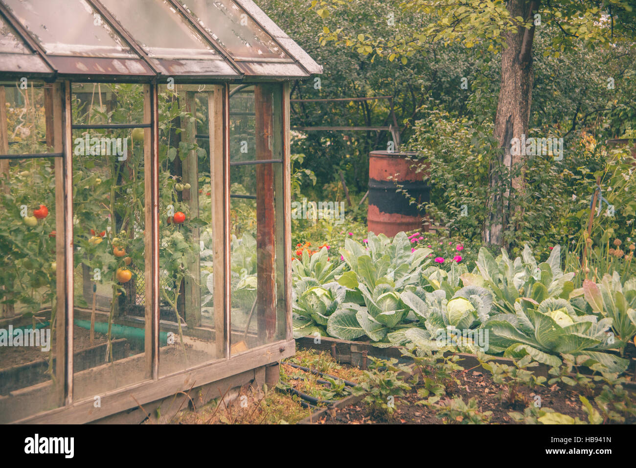 Urban vegetable production hi-res stock photography and images - Alamy