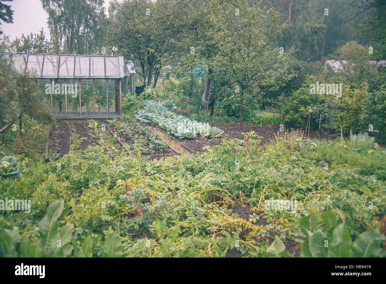 Personal cultivation of fruit and vegetable hi-res stock photography ...