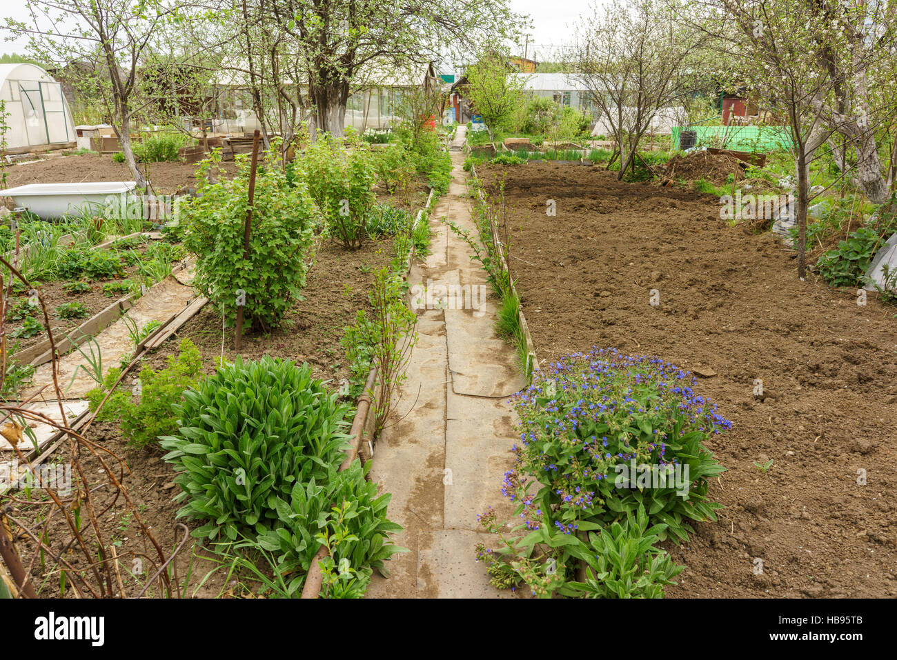 Allotment garden path Stock Photo - Alamy