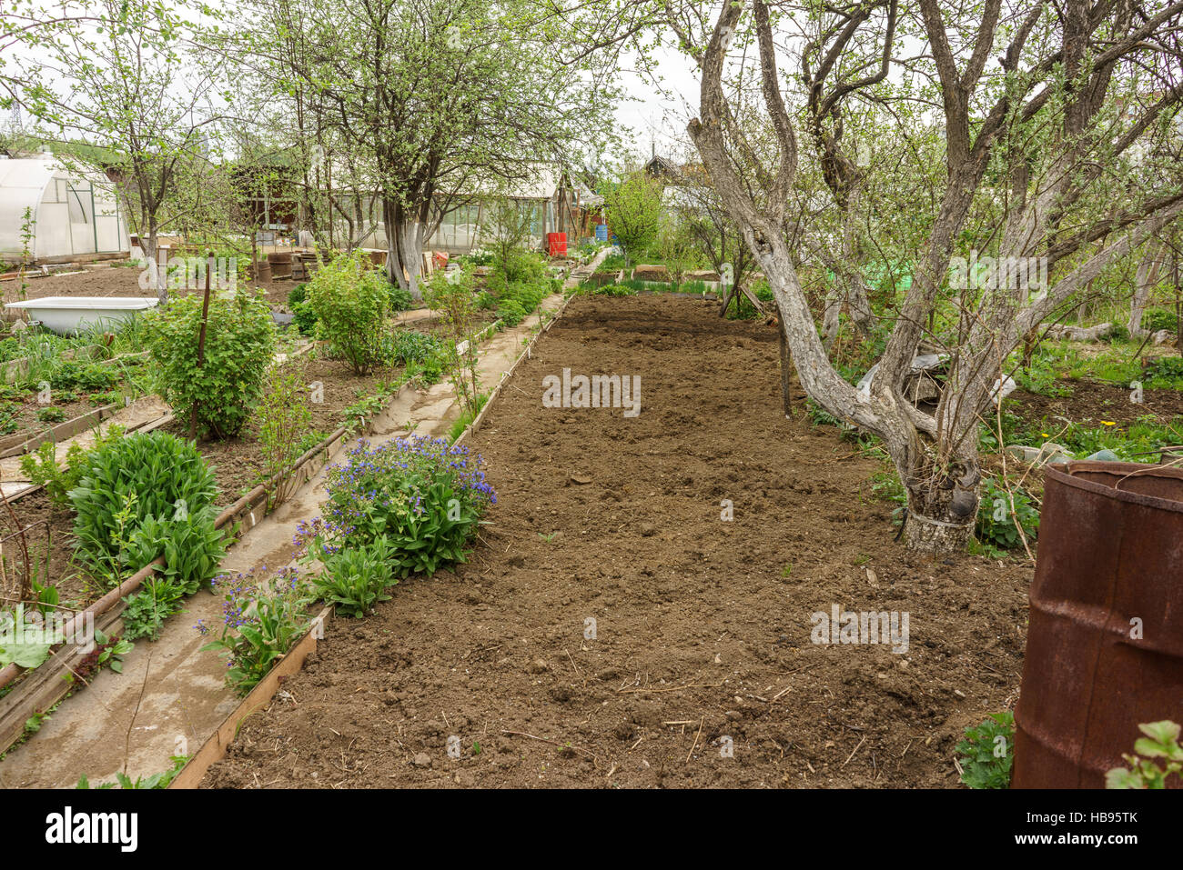 Allotment garden path Stock Photo - Alamy