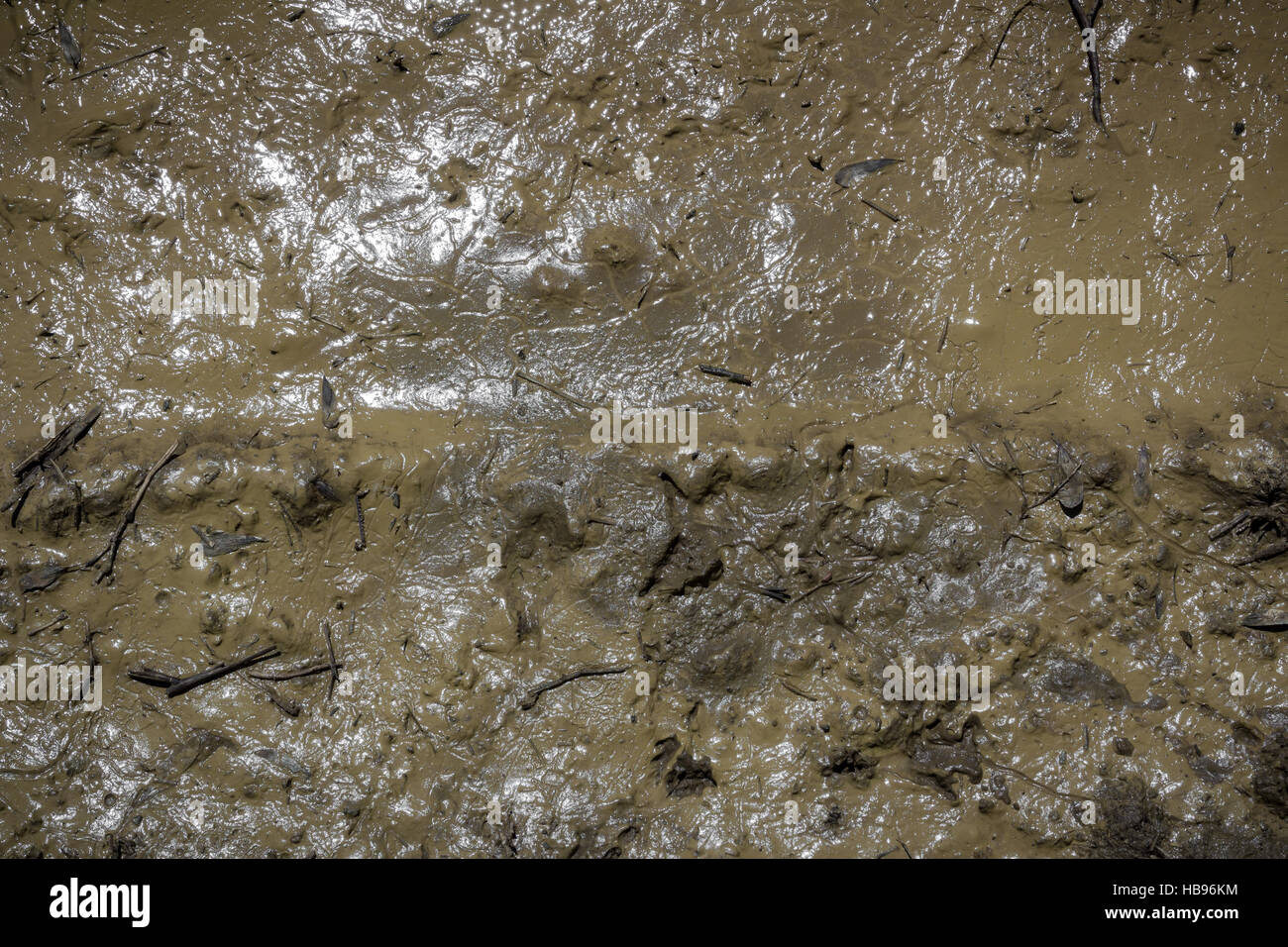 Boot print mud hi-res stock photography and images - Alamy