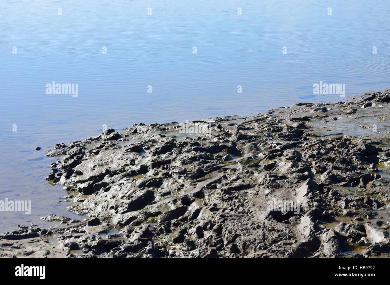 Muddy seashore hi-res stock photography and images - Alamy