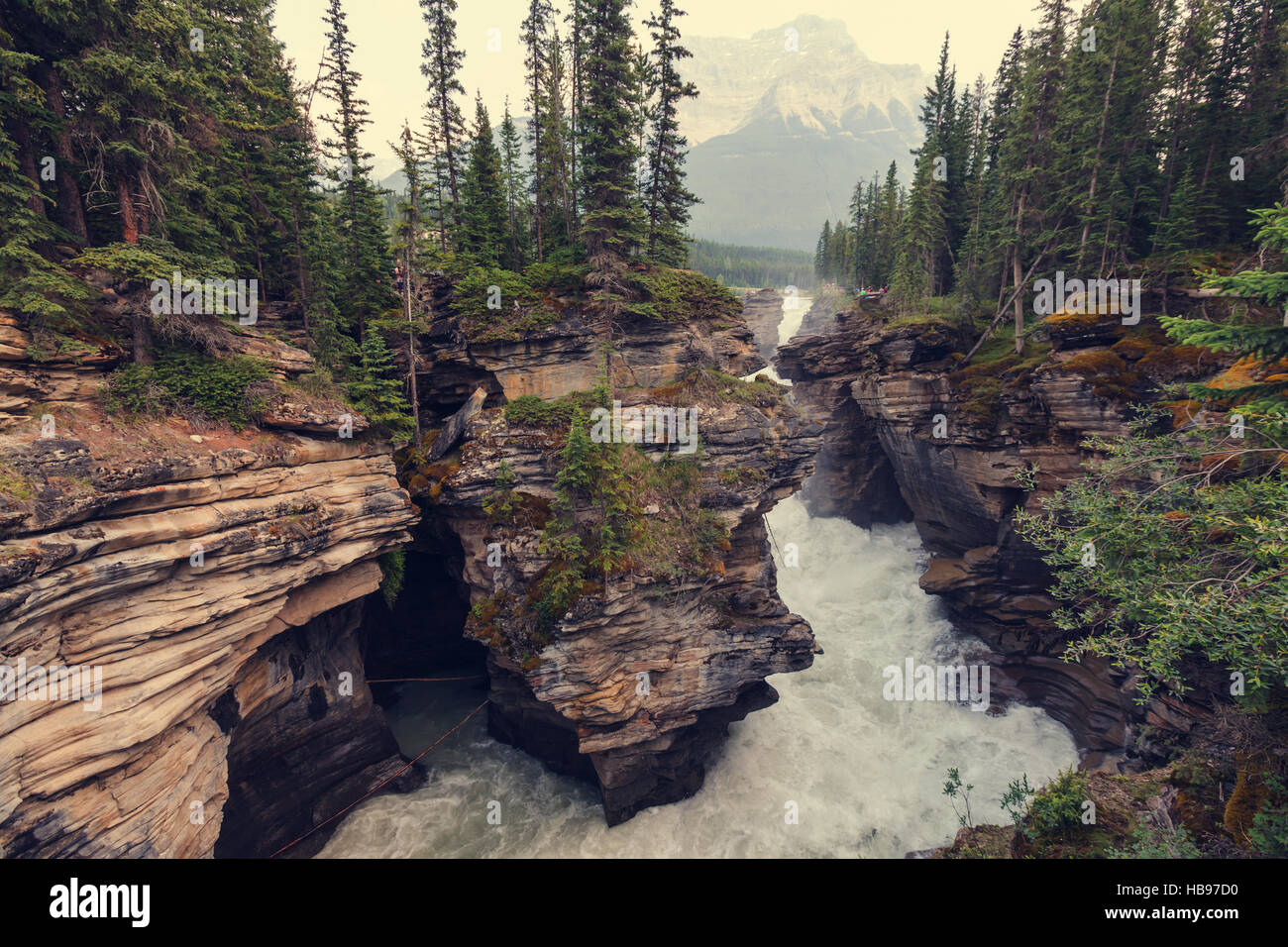 Canyon in Banff NP Stock Photo - Alamy