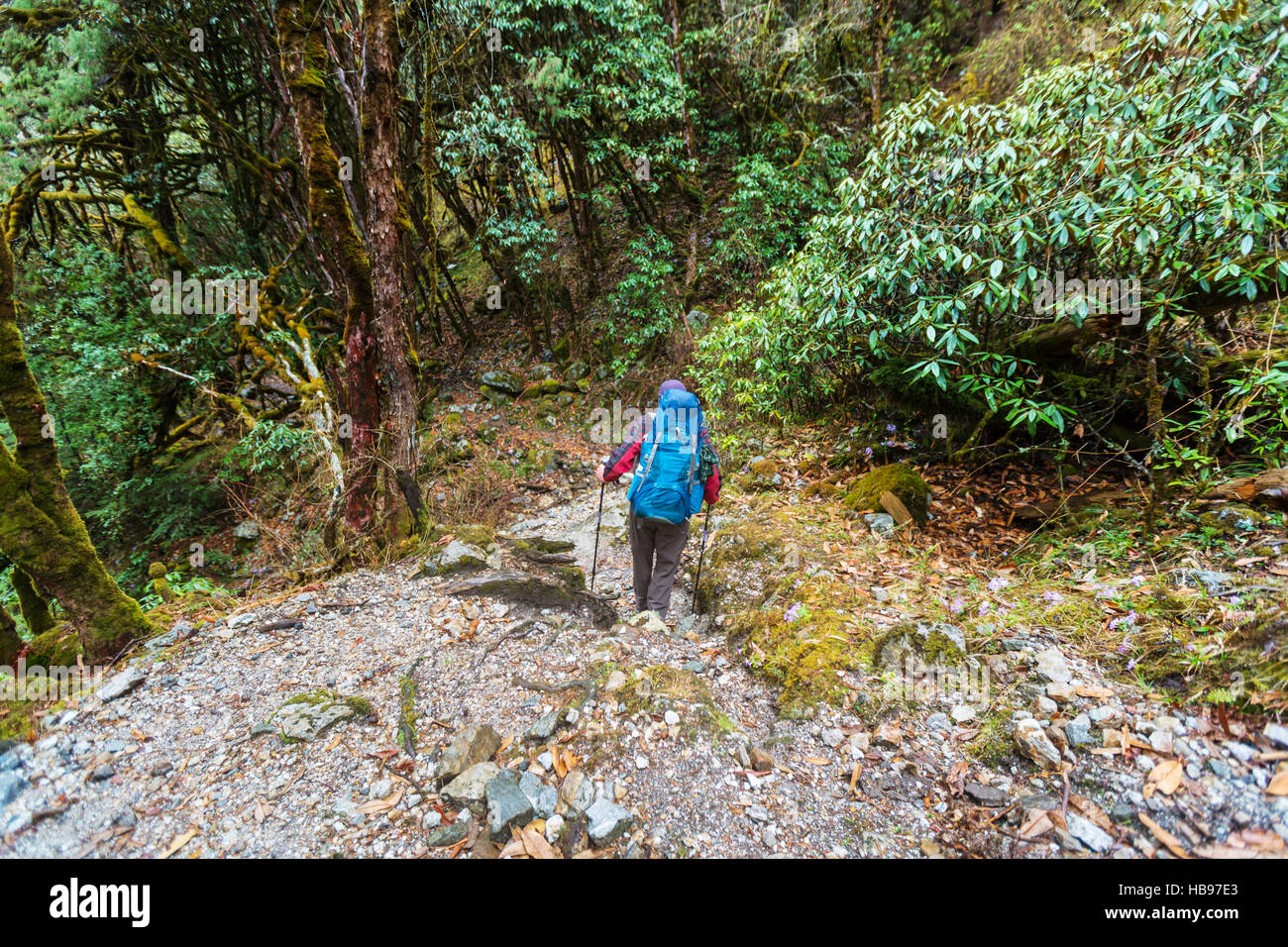 Hike in Nepal jungle Stock Photo - Alamy