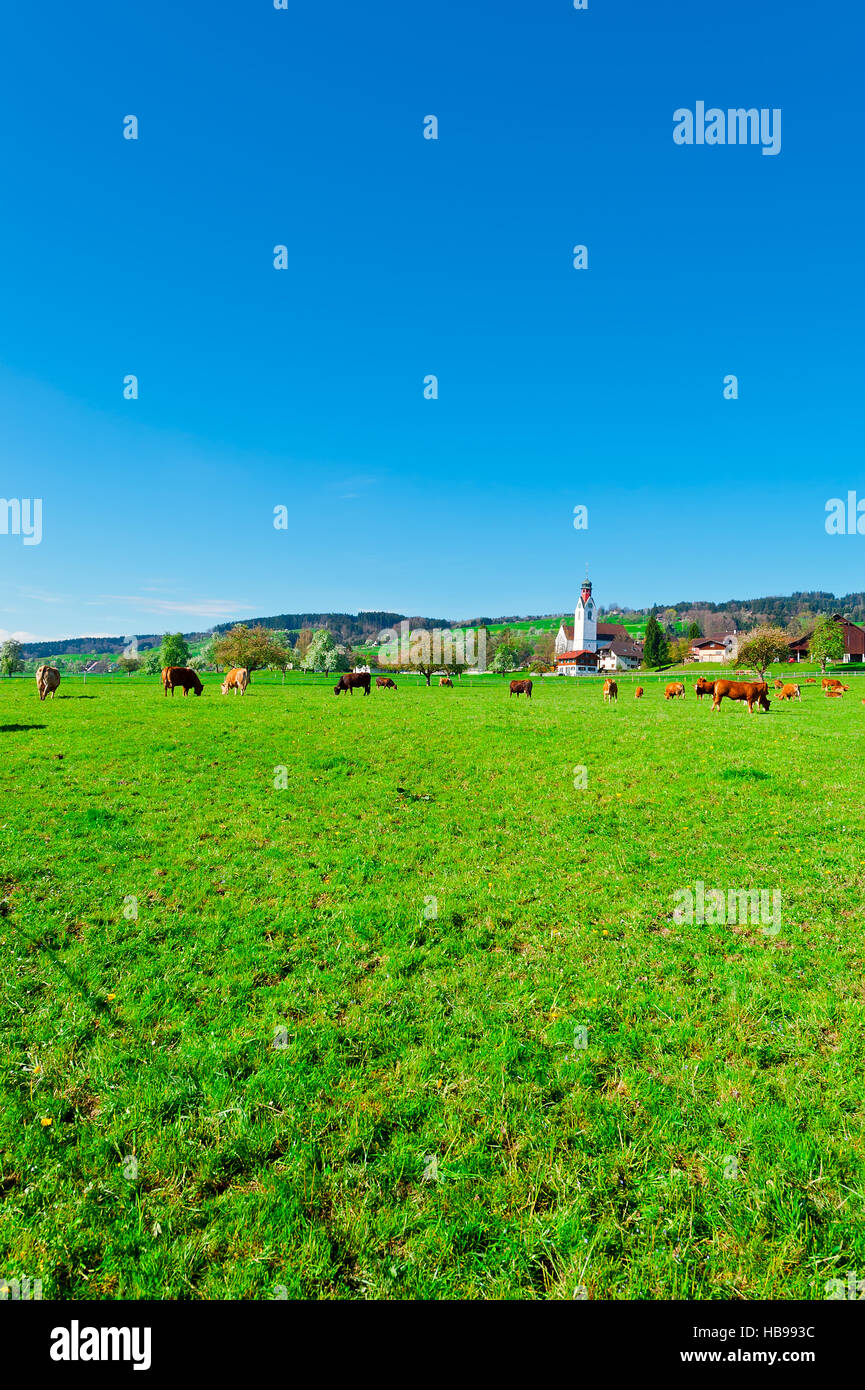 Meadows mud hi-res stock photography and images - Alamy