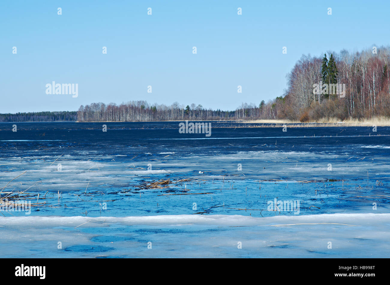 spring flooding on the lake Stock Photo - Alamy
