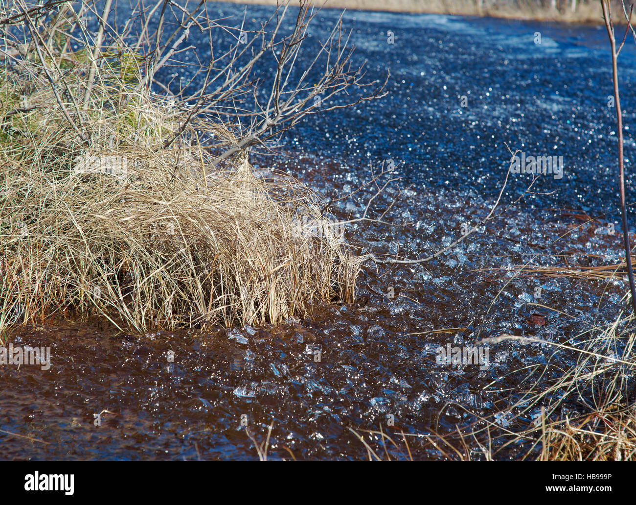 icy slush on the water of the lake Stock Photo - Alamy