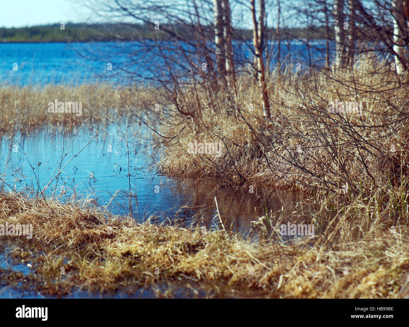 Spring flooding on the lake Stock Photo - Alamy
