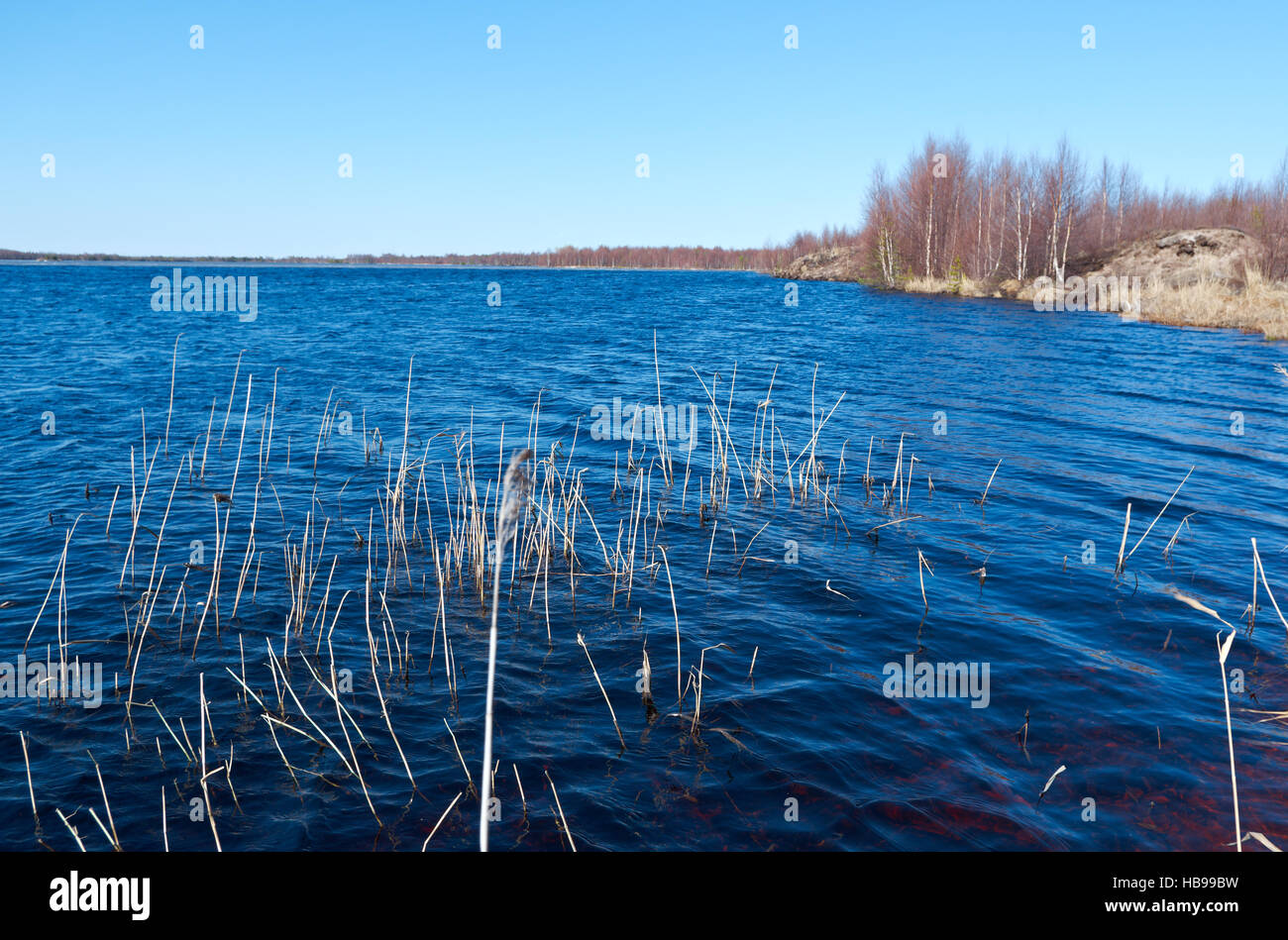 Spring flooding on the lake Stock Photo - Alamy