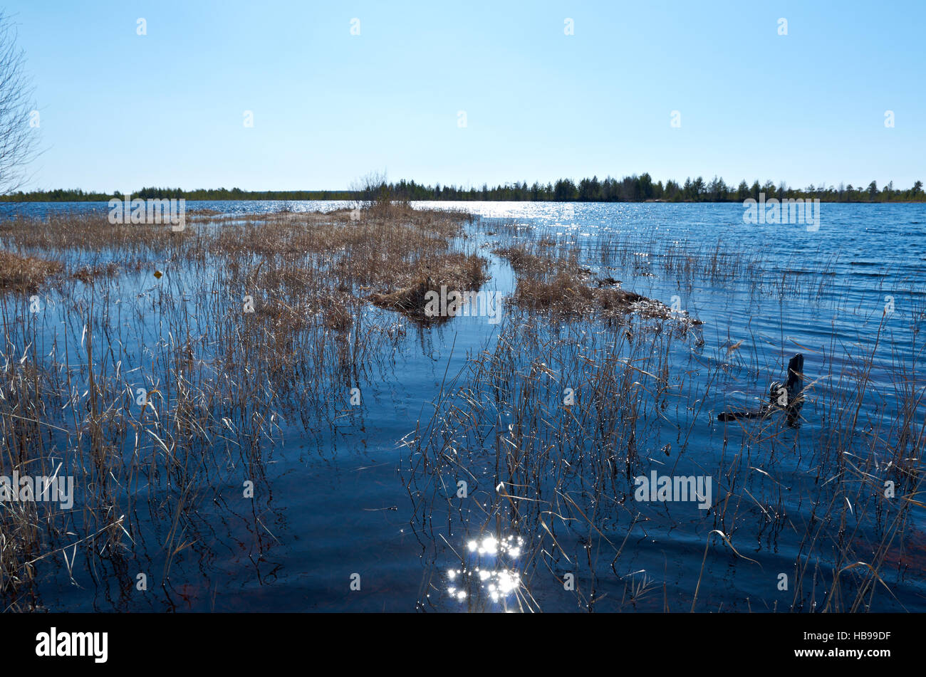 Spring flooding on the lake Stock Photo - Alamy
