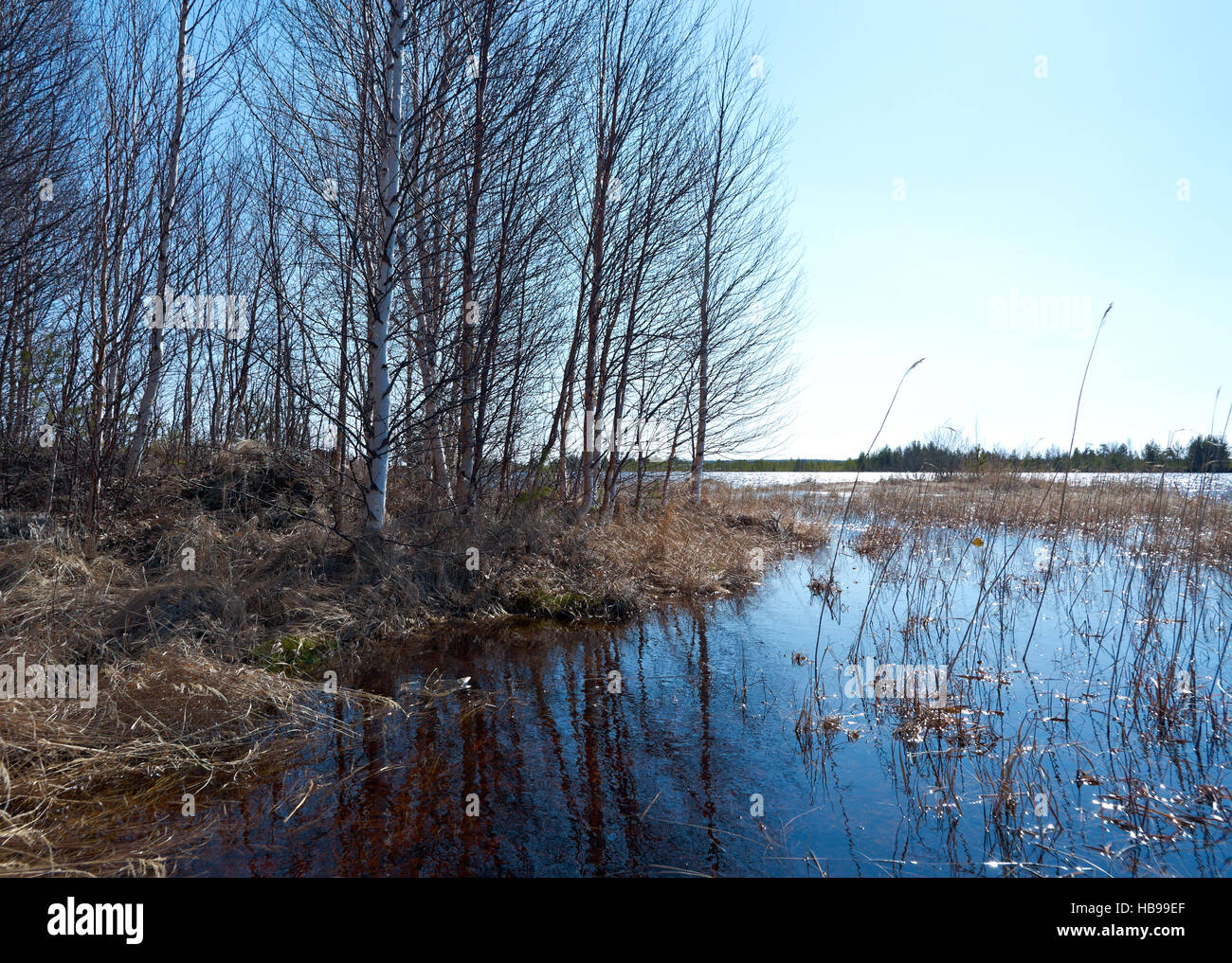 Spring flooding on the lake Stock Photo - Alamy