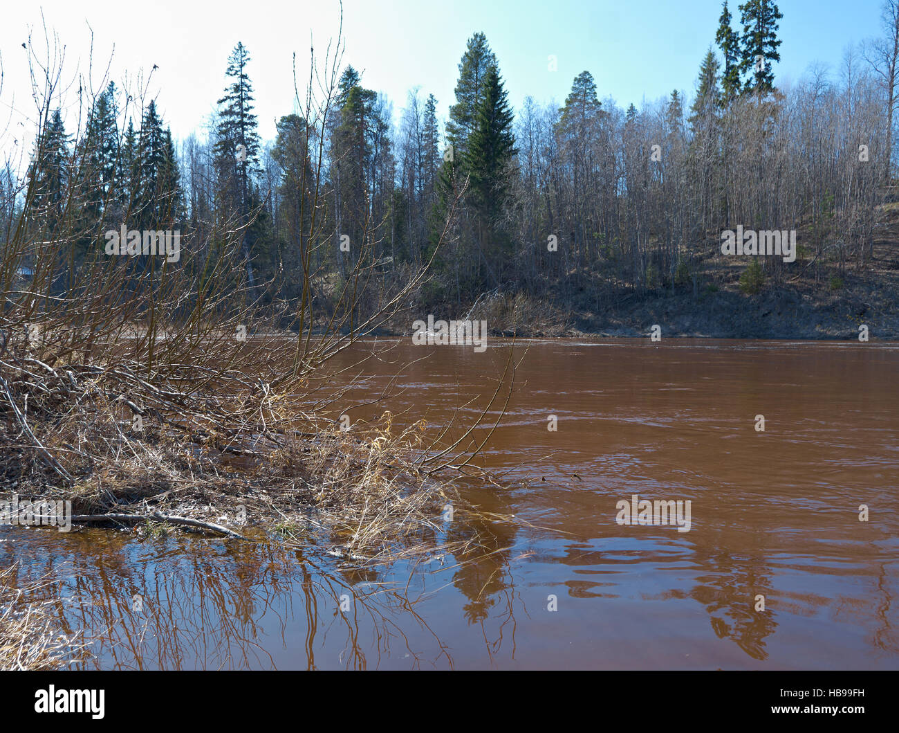 Spring flooding on the river Stock Photo - Alamy