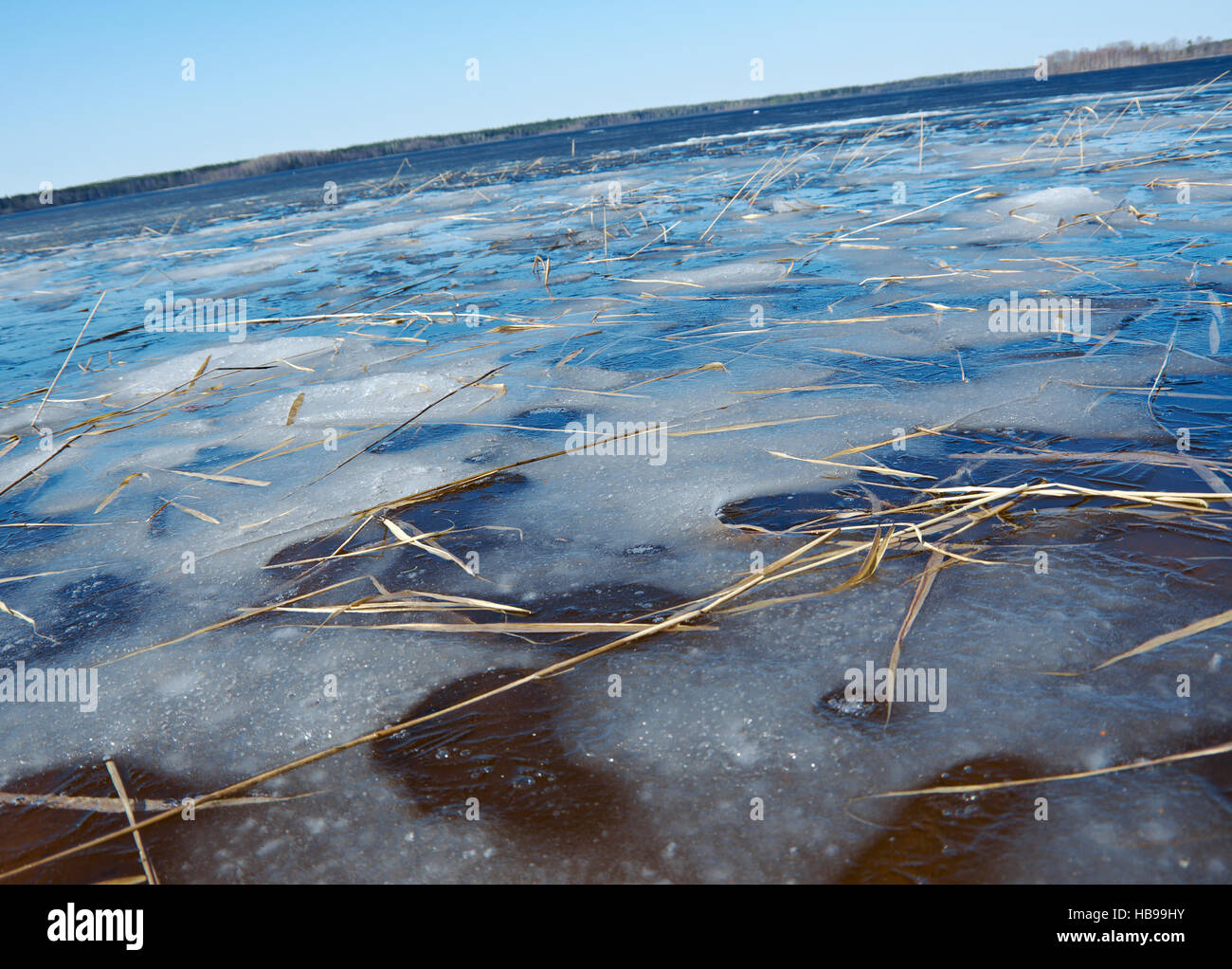 spring flooding on the lake Stock Photo - Alamy