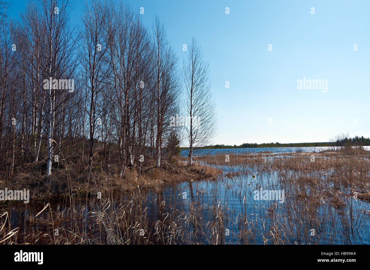 Spring flooding on the lake Stock Photo - Alamy