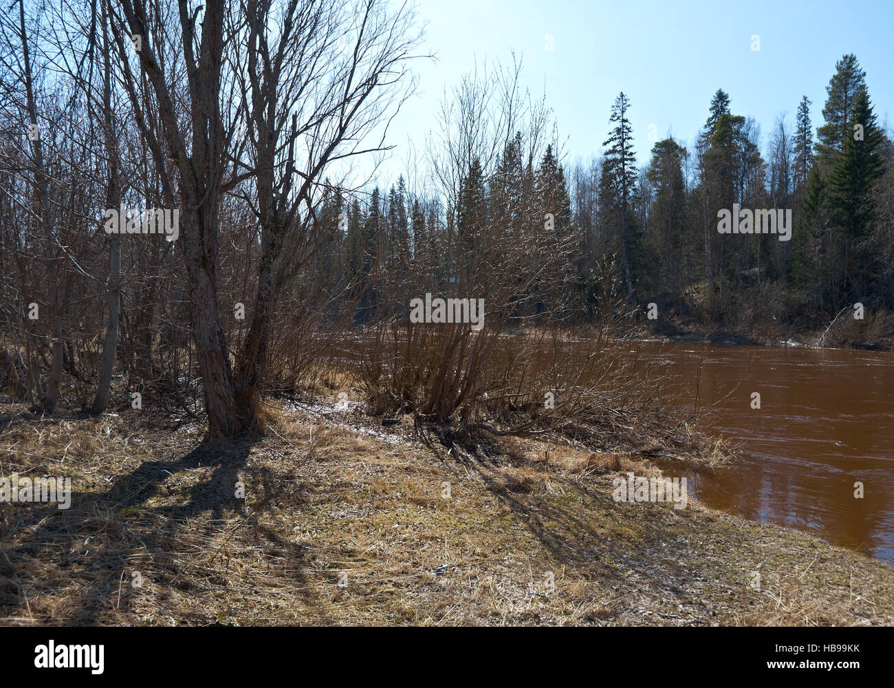 Spring flooding on the river Stock Photo - Alamy