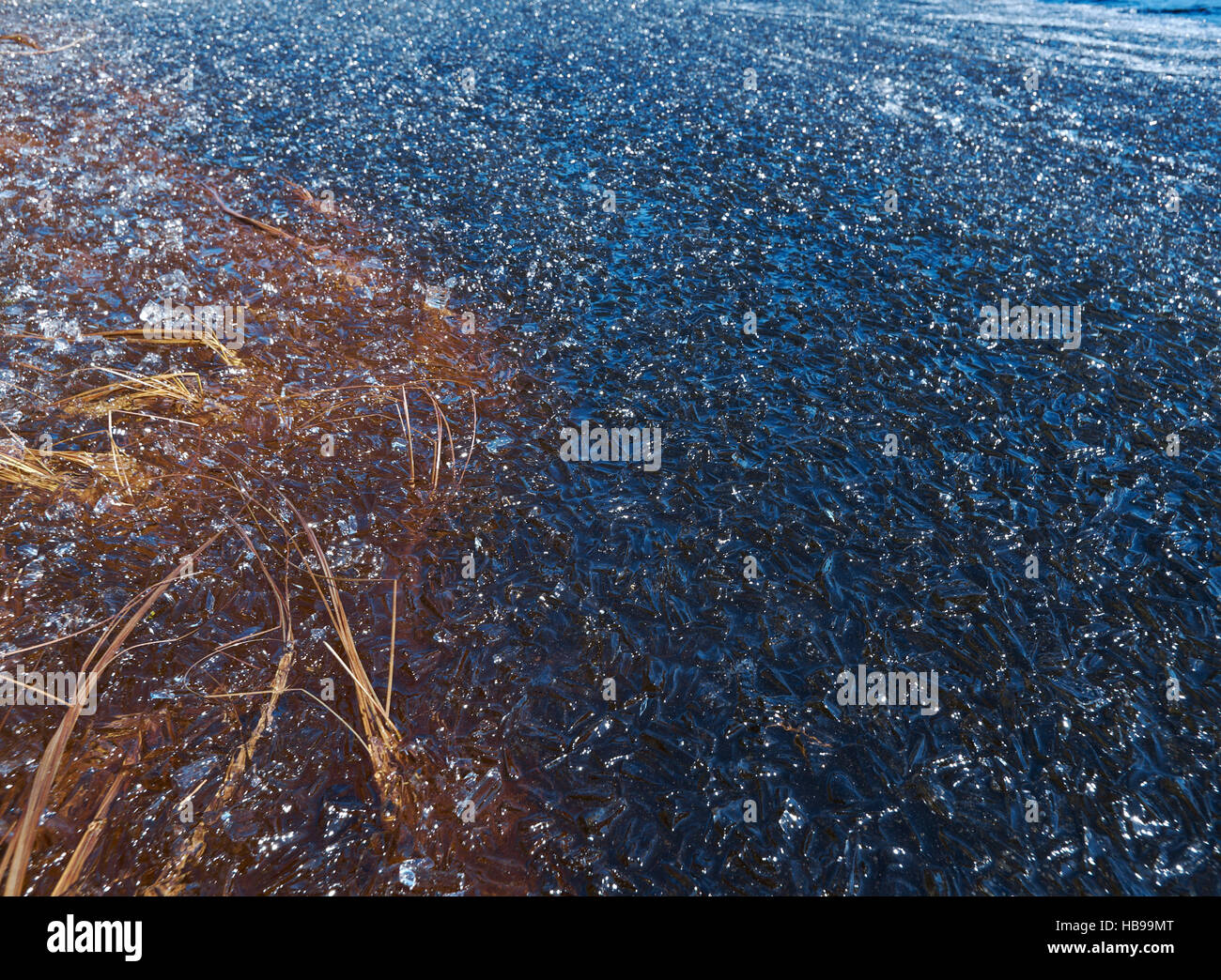 icy slush on the water of the lake Stock Photo - Alamy