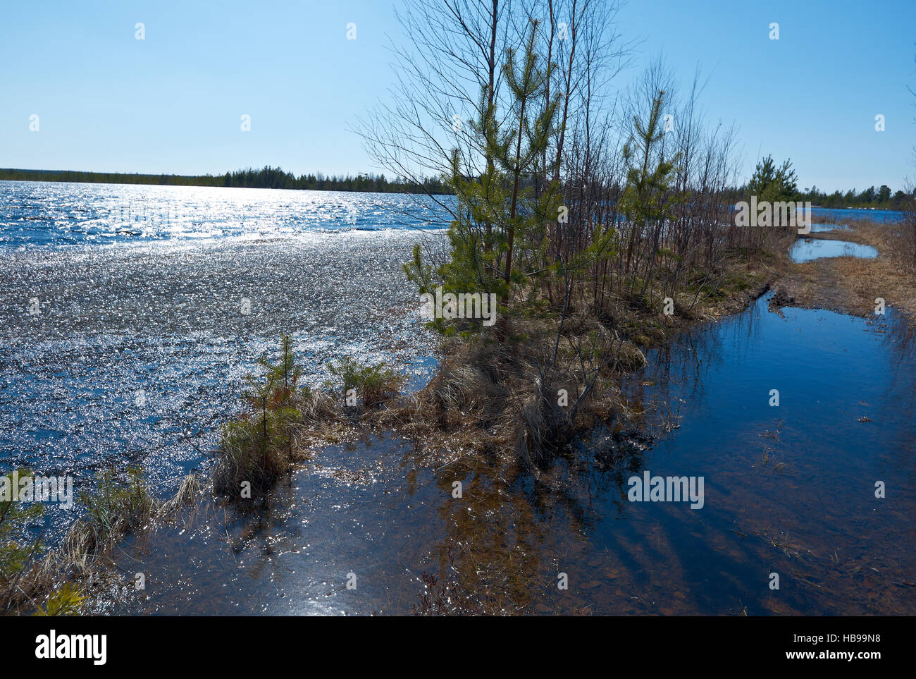 Spring flooding on the lake Stock Photo - Alamy
