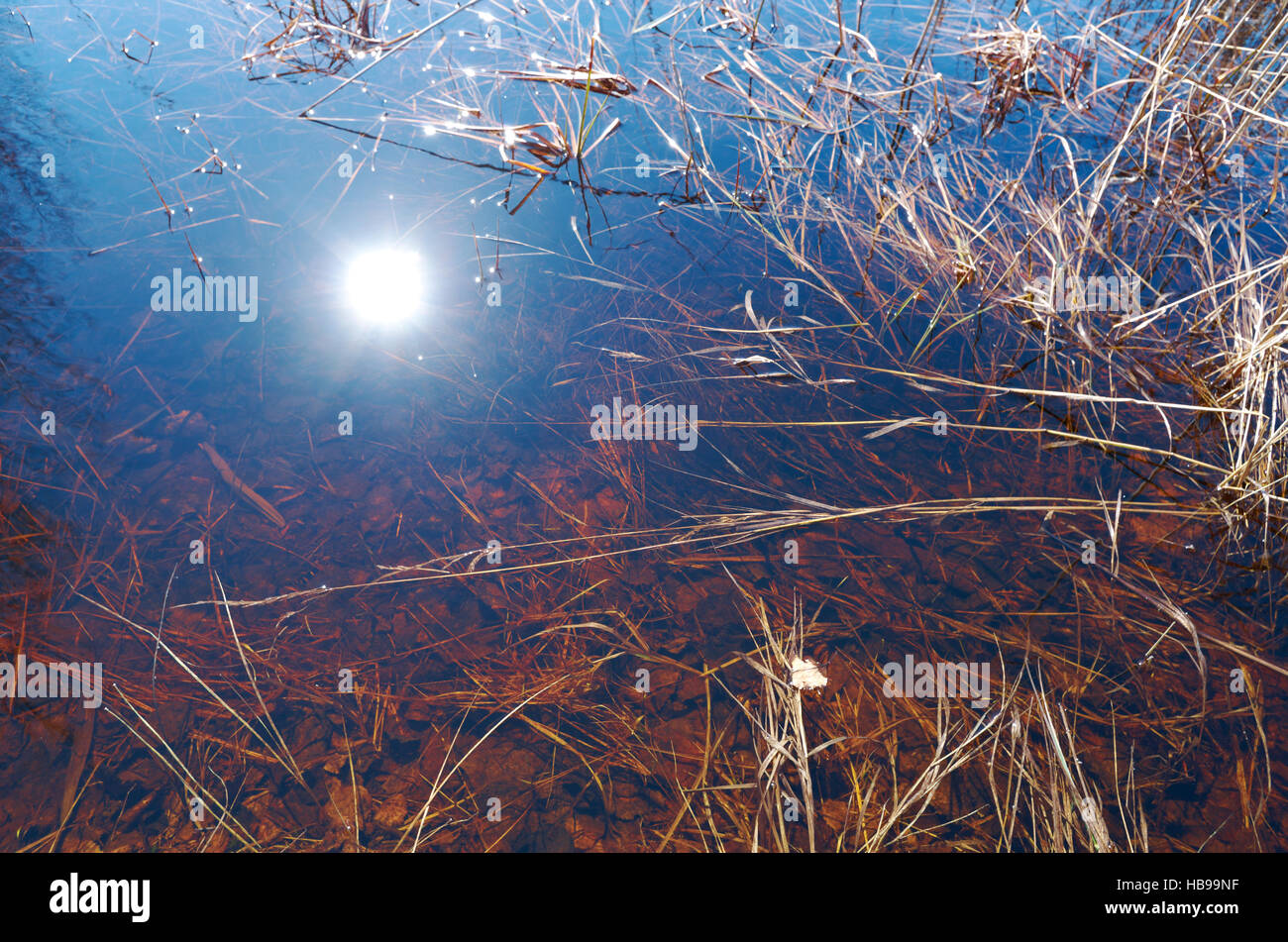 Spring flooding on the lake Stock Photo - Alamy