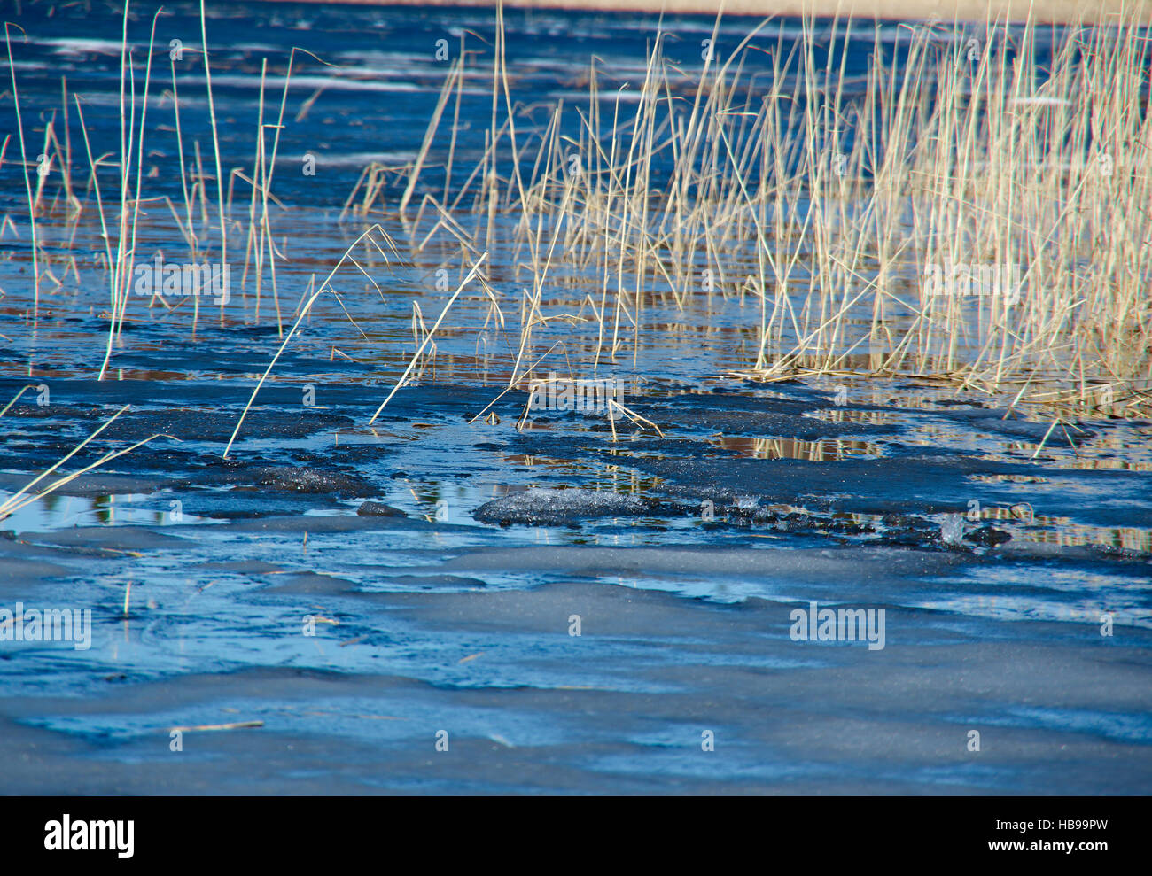 spring flooding on the lake Stock Photo - Alamy
